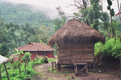 Hamadryad: Honey Valley Estate - The paradise beneath Thadiandamol